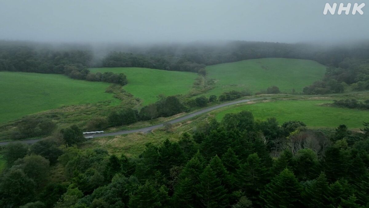 [写真](5ページ目)「デカッ！」謎のヒグマ・OSO18の骨を“たい肥”の山から4時間かけて発掘…NHKスペシャル取材班が辿り着いたクマの正体 | 文春オンライン