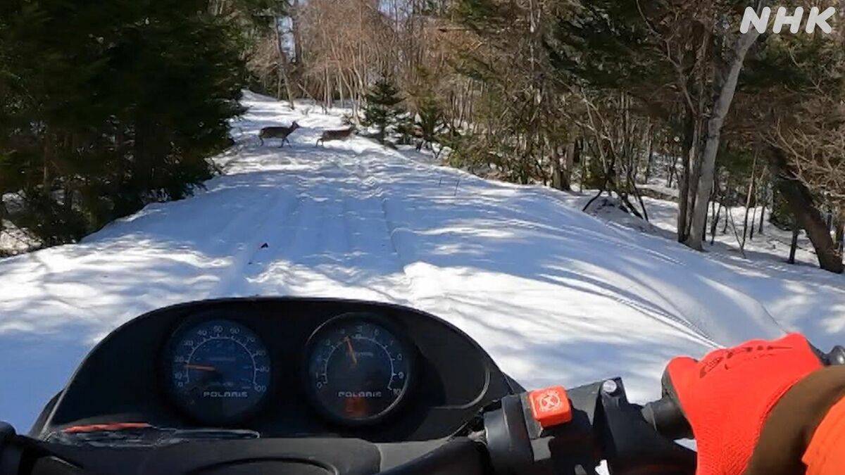 [写真](3ページ目)「デカッ！」謎のヒグマ・OSO18の骨を“たい肥”の山から4時間かけて発掘…NHKスペシャル取材班が辿り着いたクマの正体 | 文春オンライン