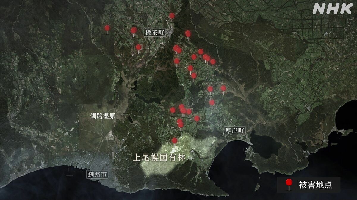 [写真](12ページ目)「デカッ！」謎のヒグマ・OSO18の骨を“たい肥”の山から4時間かけて発掘…NHKスペシャル取材班が辿り着いたクマの正体 | 文春オンライン